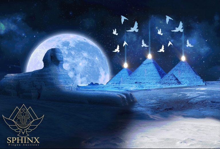 Pyramids International OLR – Best Racing Pigeon Auction