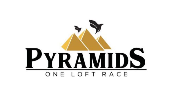 Pyramids International OLR – Best Racing Pigeon Auction