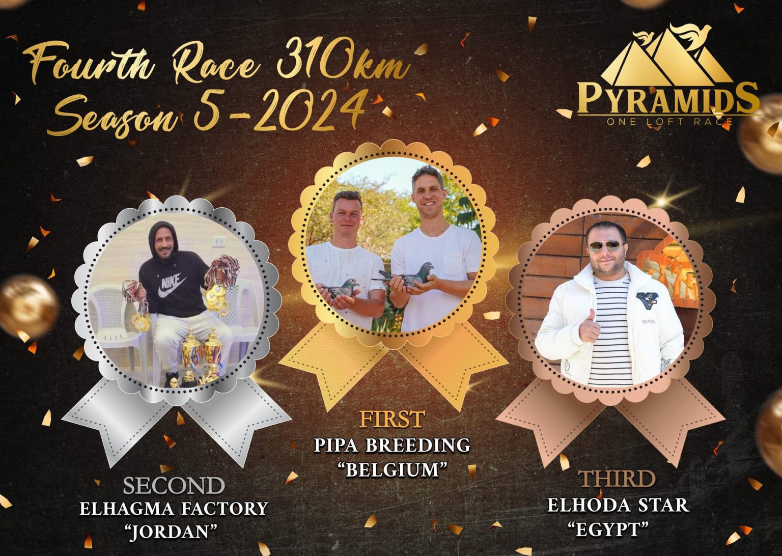 Pyramids International OLR – Best Racing Pigeon Auction