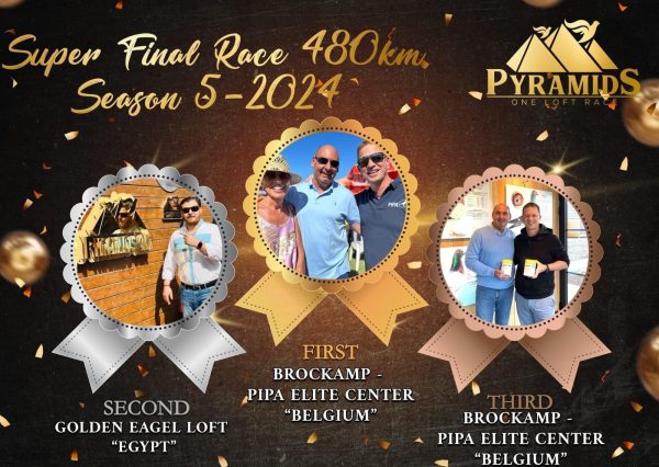 Pyramids International OLR – Best Racing Pigeon Auction